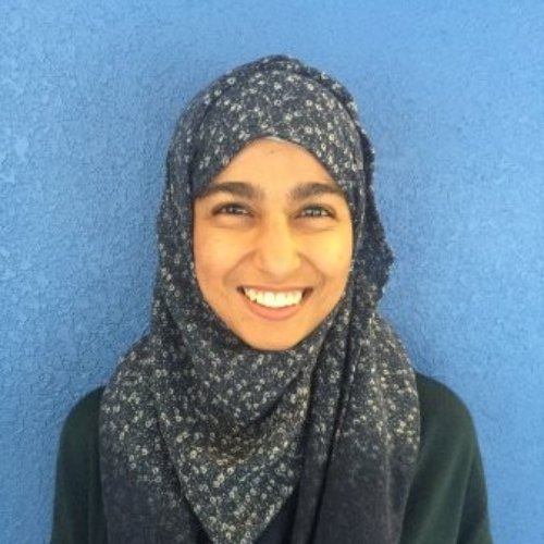 Executive Board & Council